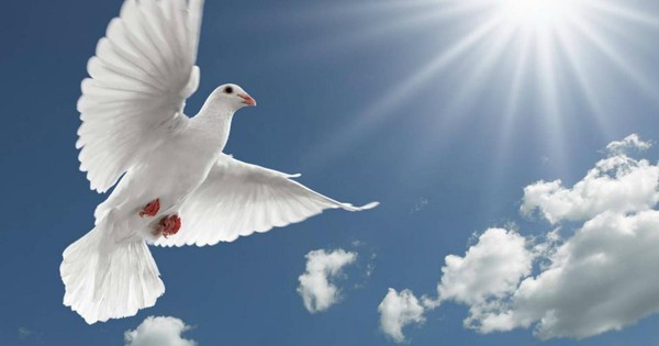 Case Study: Dove Campaign - You Are More Beautiful Than You Think