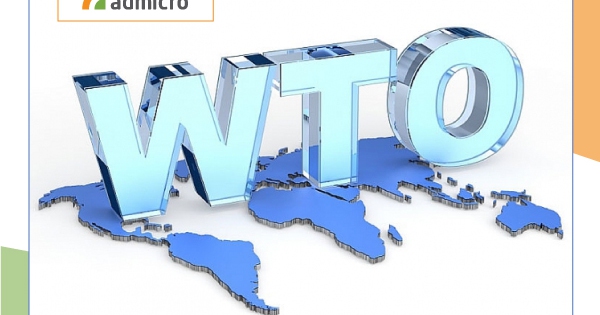 WTO là gì? Cập nhật thông tin chi tiết về WTO năm 2021